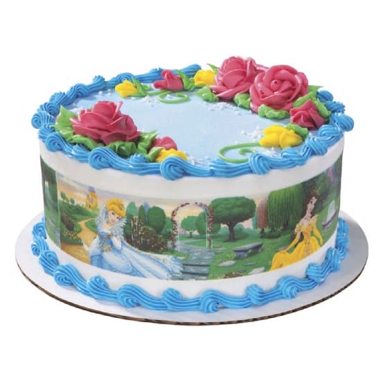 DecoPac Disney® Princess Garden Designer Prints™ | Wasserstrom