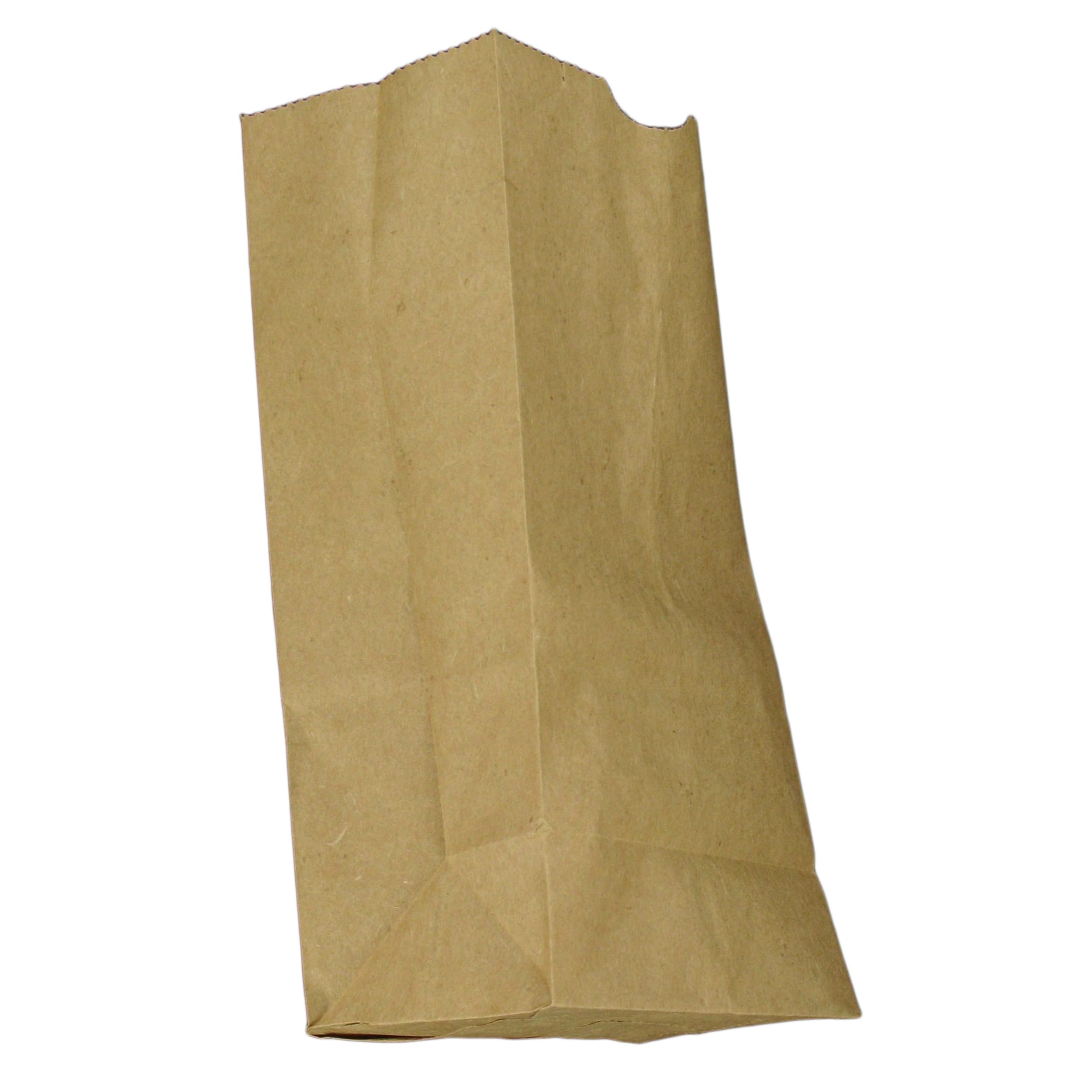 AJM Packaging GB01NP5C 1 lb. Kraft Paper Grocery Bag - 500 / PK ...