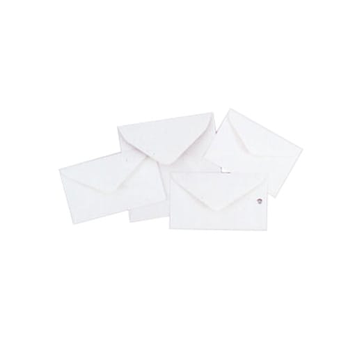 Floral Supply Syndicate AE63 White Eyelet Envelope - 500 / BX | Wasserstrom